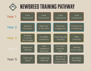 Training Pathway - Newbreed Training