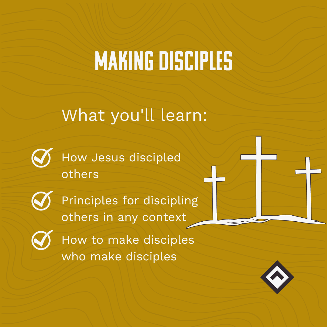 Cohorts - Newbreed Training